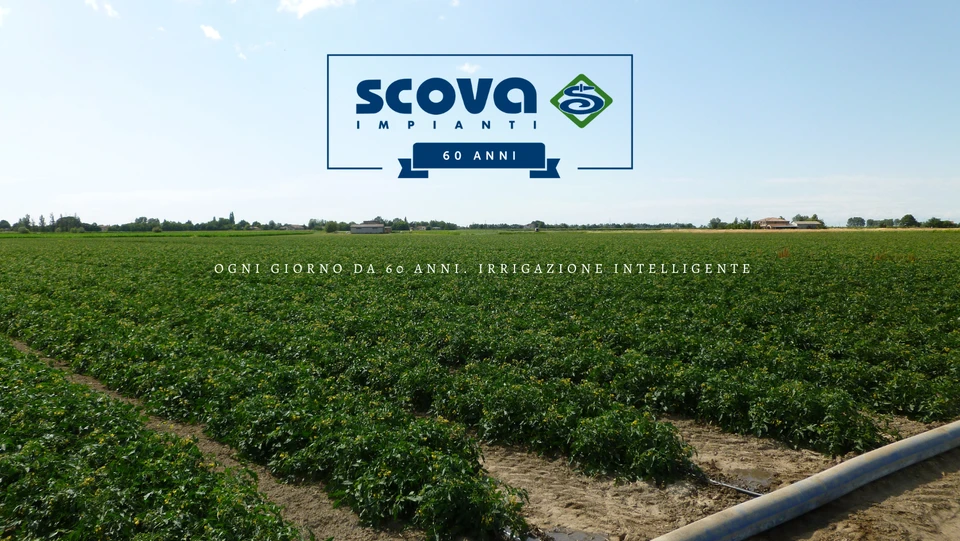 Chi Siamo | Scova Impianti – Partner per la Gestione dell’Acqua in ...